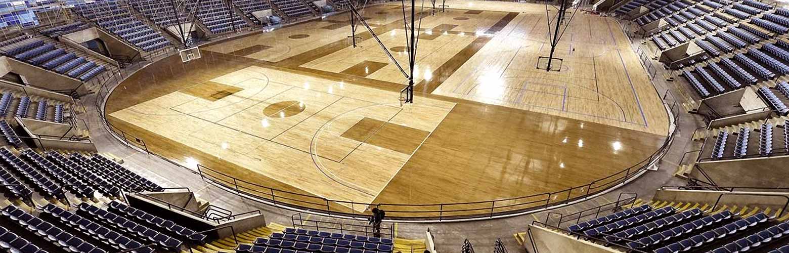 Champion of Projects Large & Small